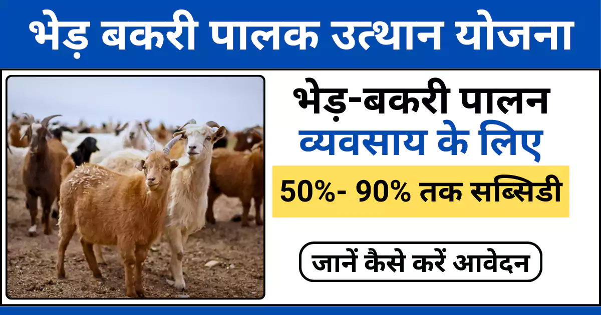 हरियाणा मुख्यमंत्री भेड़ बकरी पालक उत्थान योजना 2025: पात्रता, लाभ और ...